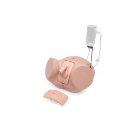 Kateterisering treningsmodell (mann og kvinne)